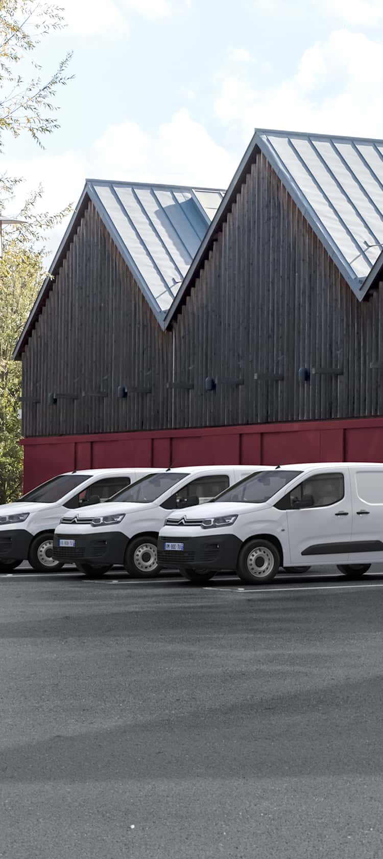 Citroën Commercial Vehicles & Vans | Berlingo van, Dispatch, Relay and ...